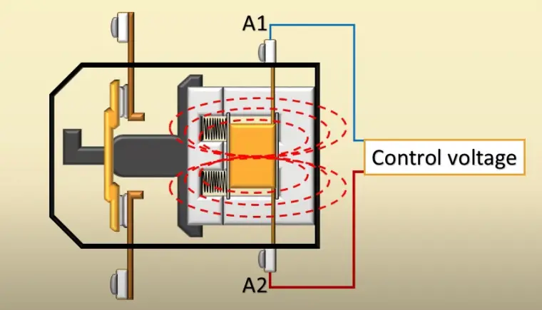 contactor-with-three-phase-Motor | Electrical4u